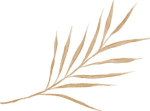 Prices – Vidao Nails and Day Spa